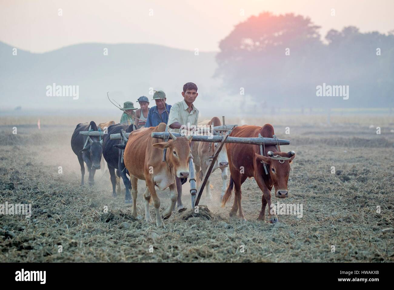 Plow the soil hi-res stock photography and images - Alamy