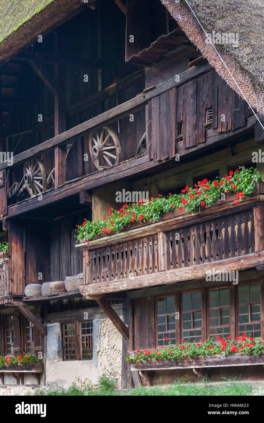 Kinzigtal hi-res stock photography and images - Alamy