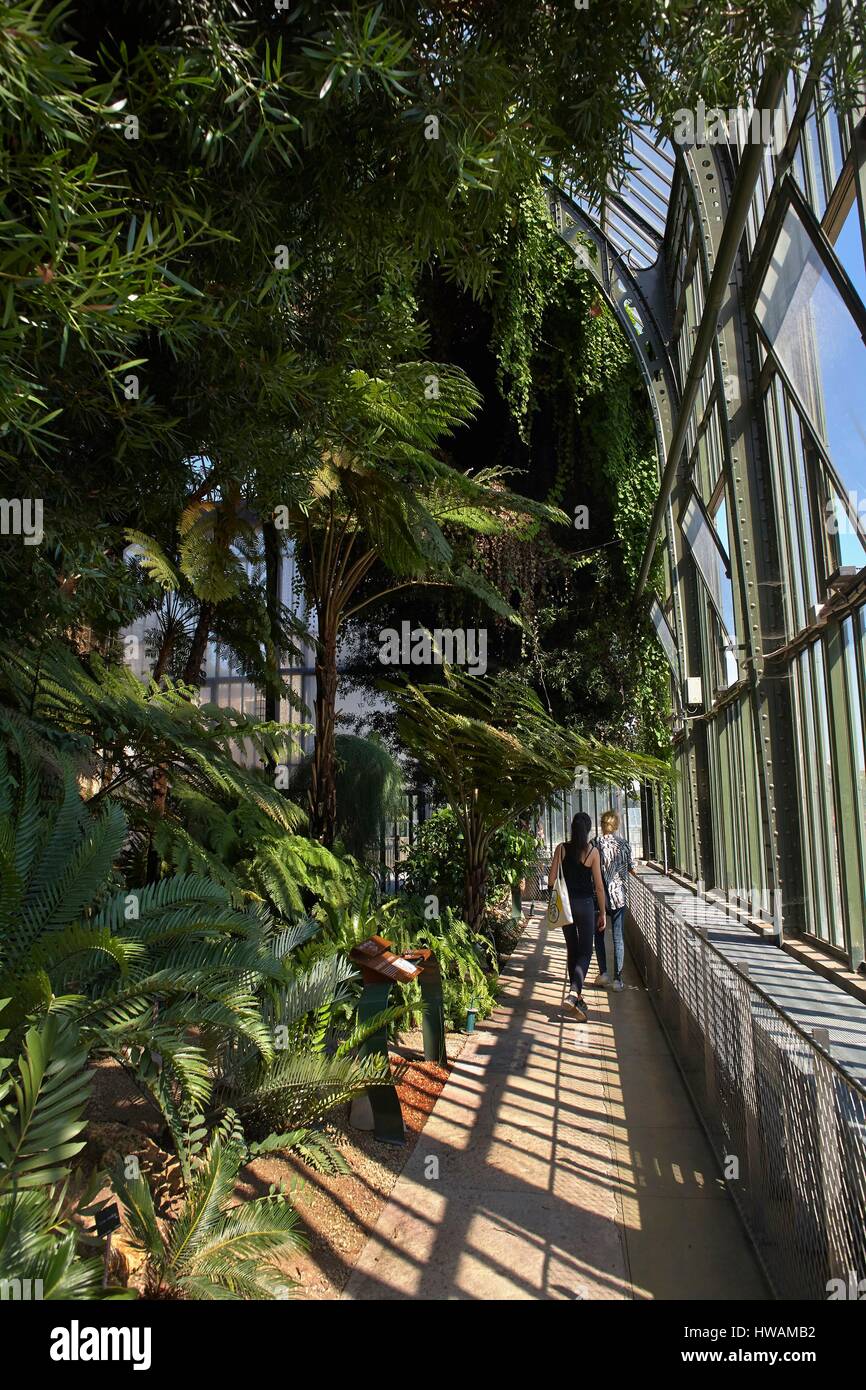 France, Paris, National Museum of Natural History, Large greenhouses of ...