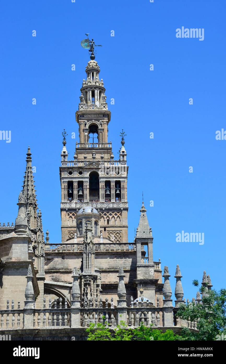 Great mosque of seville hi-res stock photography and images - Alamy
