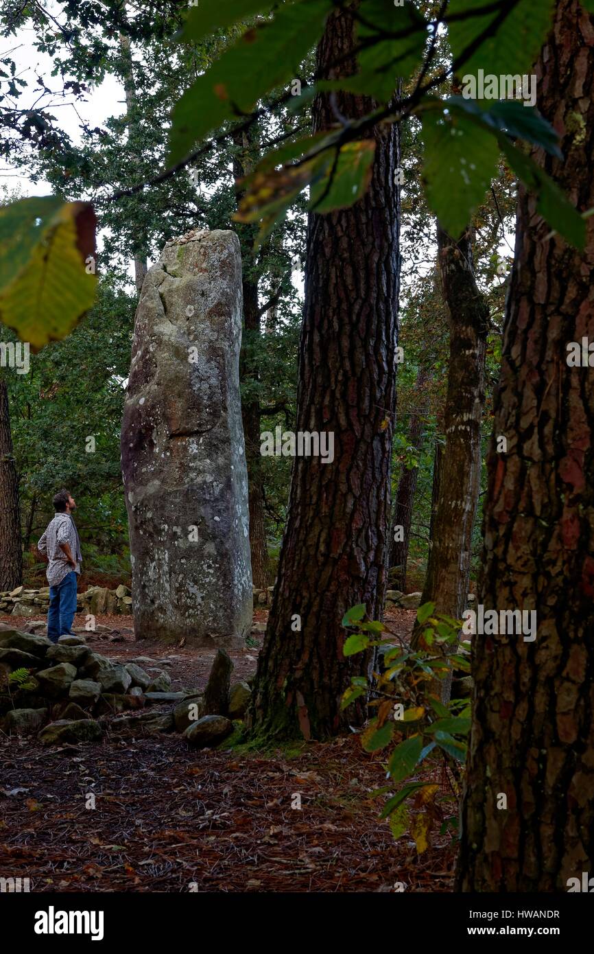 France, Morbihan, Carnac, menhir the giant of Manio Stock Photo - Alamy