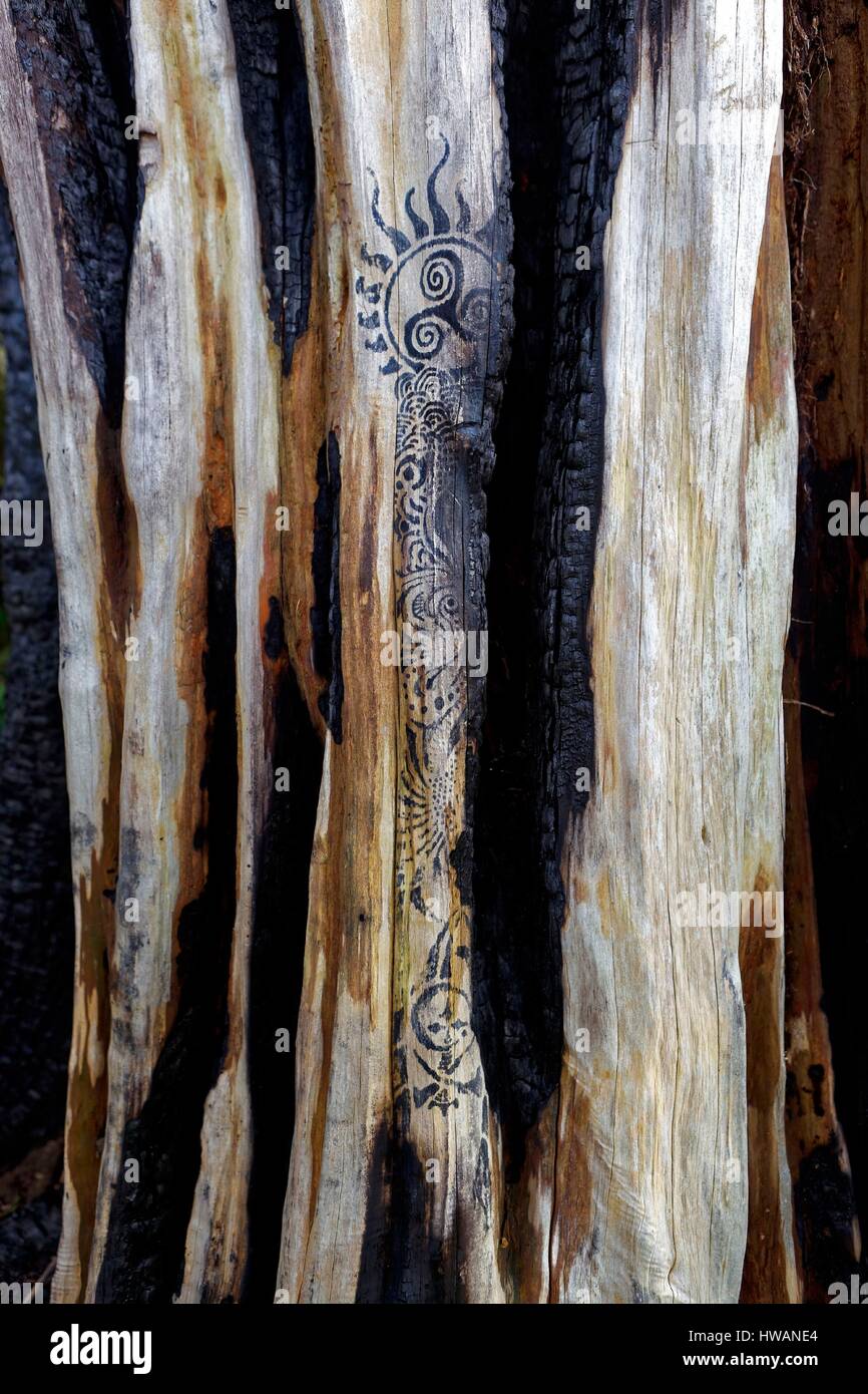 France, Morbihan, Breton symbol on a tree trunk Stock Photo - Alamy