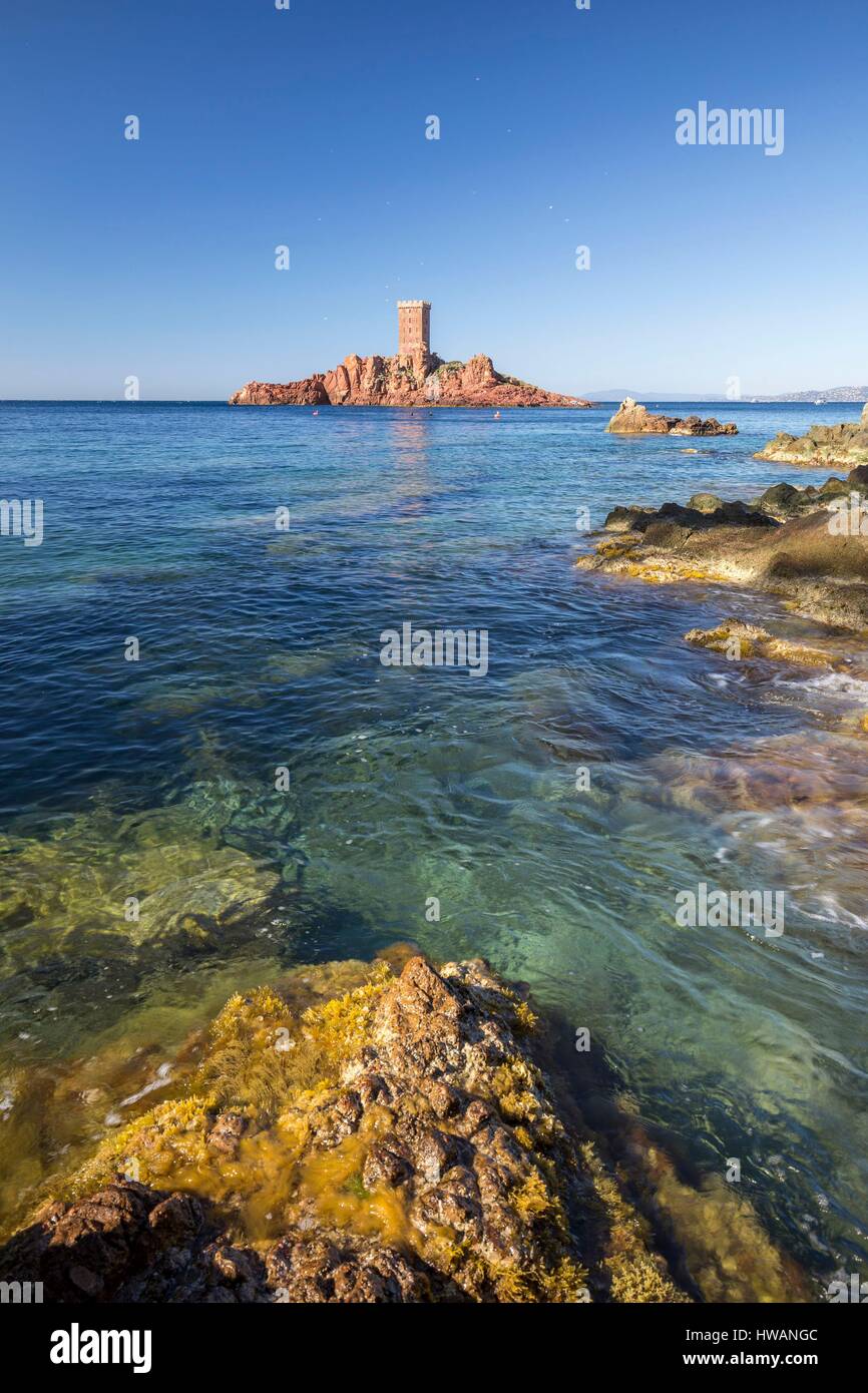 France, Var, Saint Raphael, Cape of Dramont, the tower of the l'ile d ...