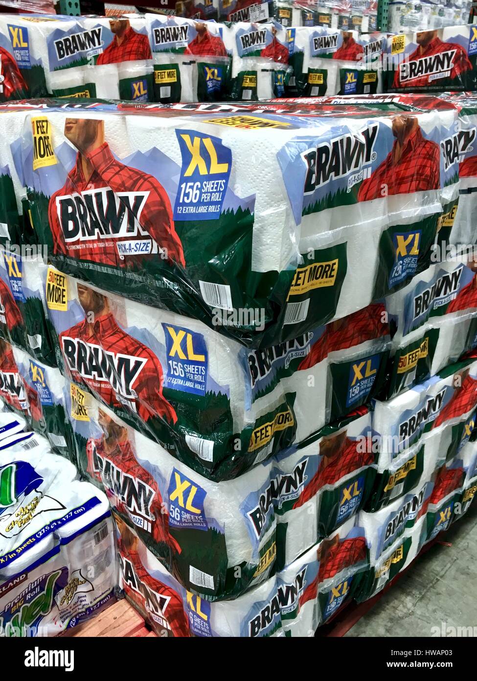 Paper Towels In Bulk Stock Photo Alamy paper-towels-in-bulk-stock-photo-alamy