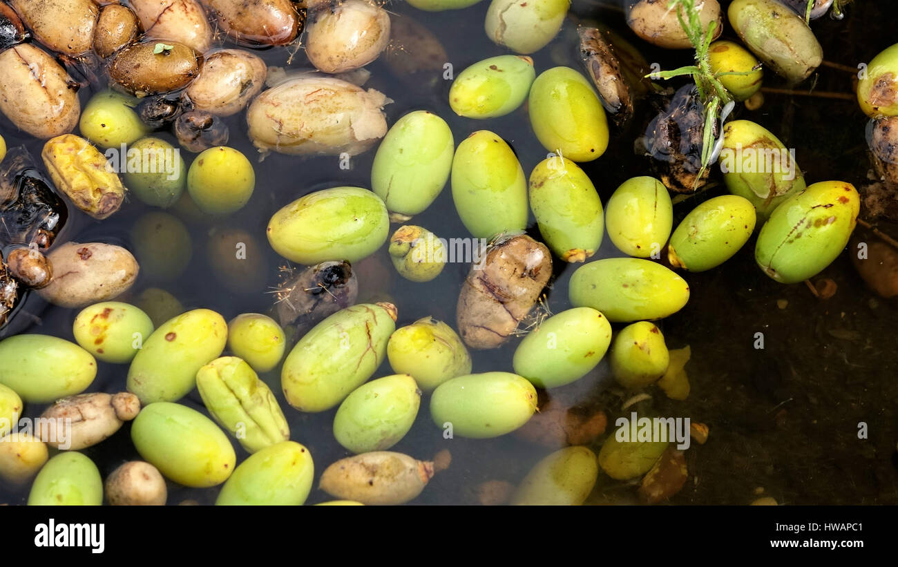 Bad dates hi-res stock photography and images - Alamy