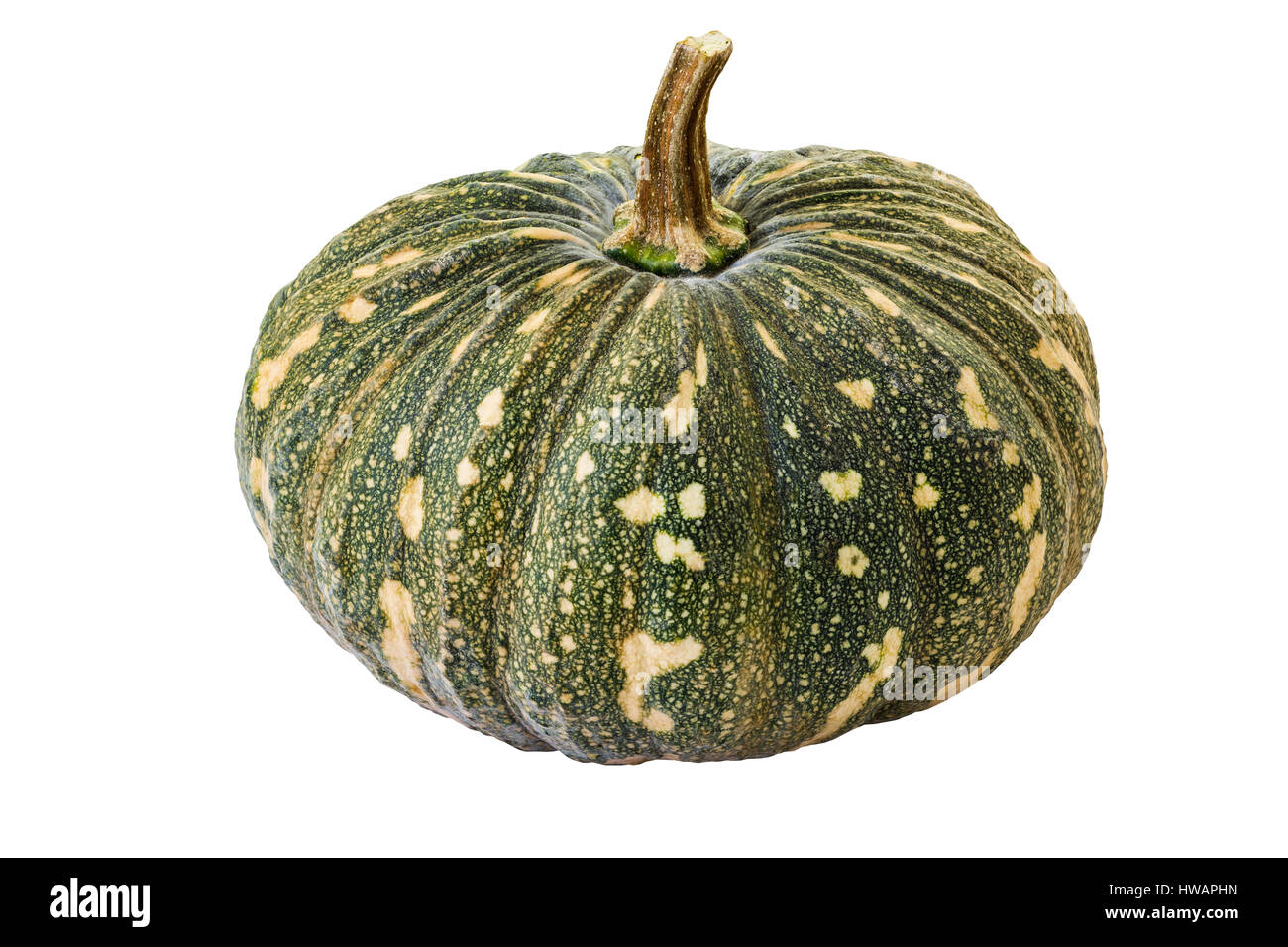 Kabocha squash isolated on white background and clipping path Stock ...