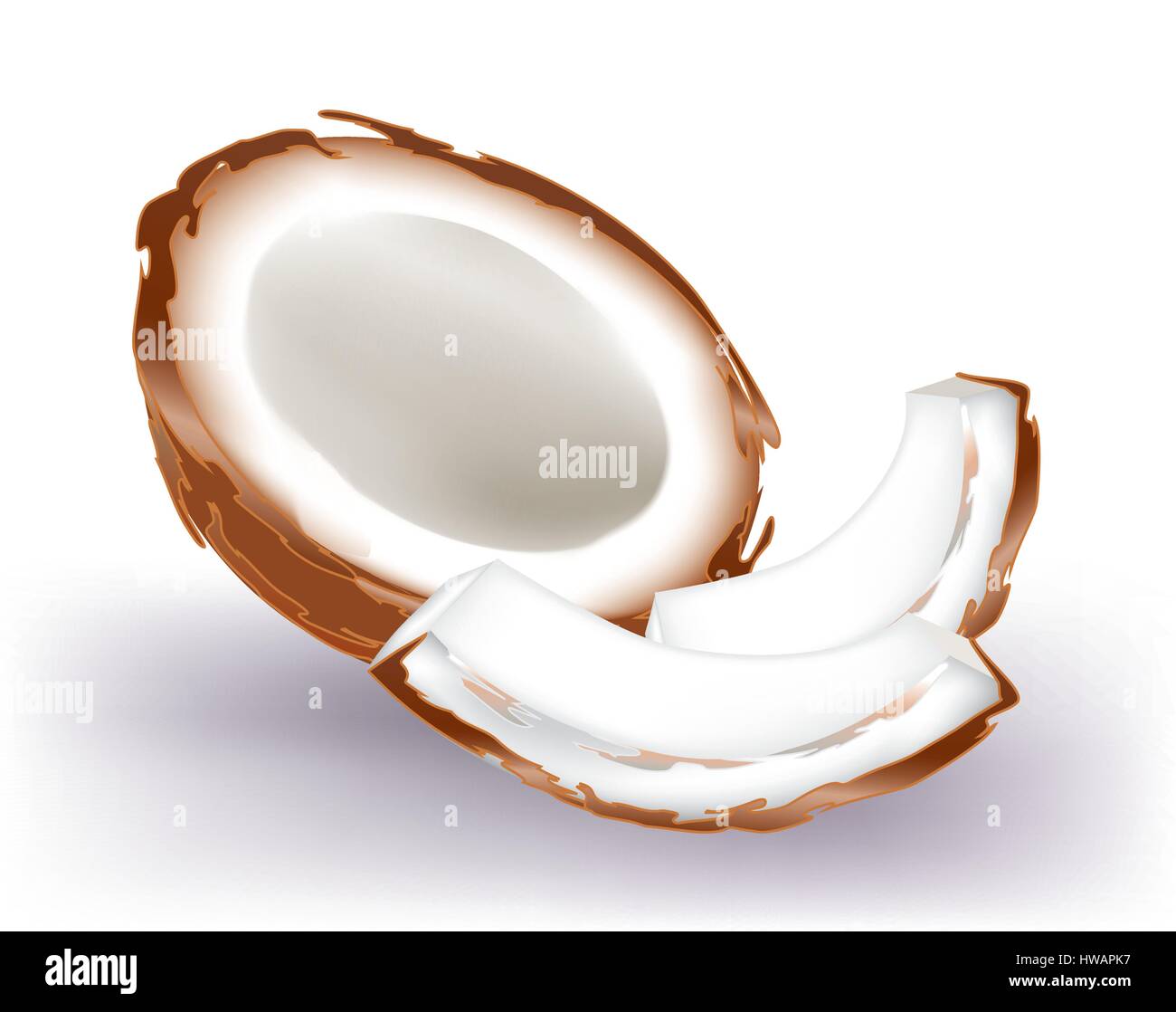 Coco palm asia Stock Vector Images - Alamy