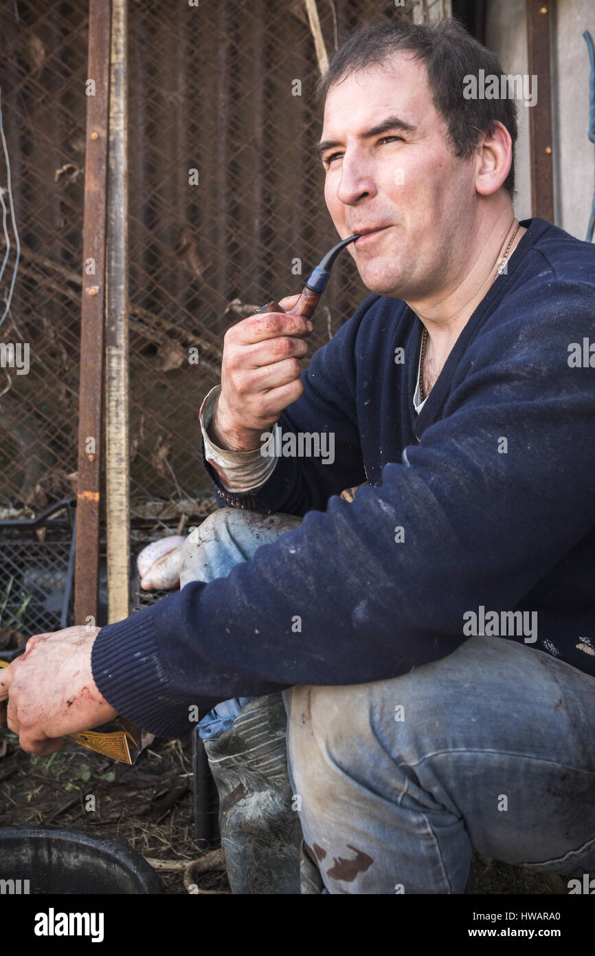 Agriculture butcher hi-res stock photography and images - Alamy