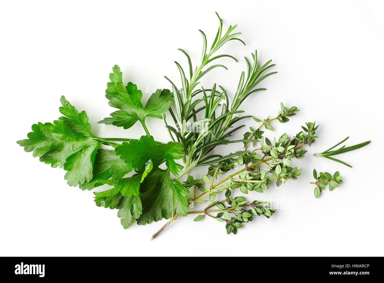fresh green spices isolated on white background, top view Stock Photo ...