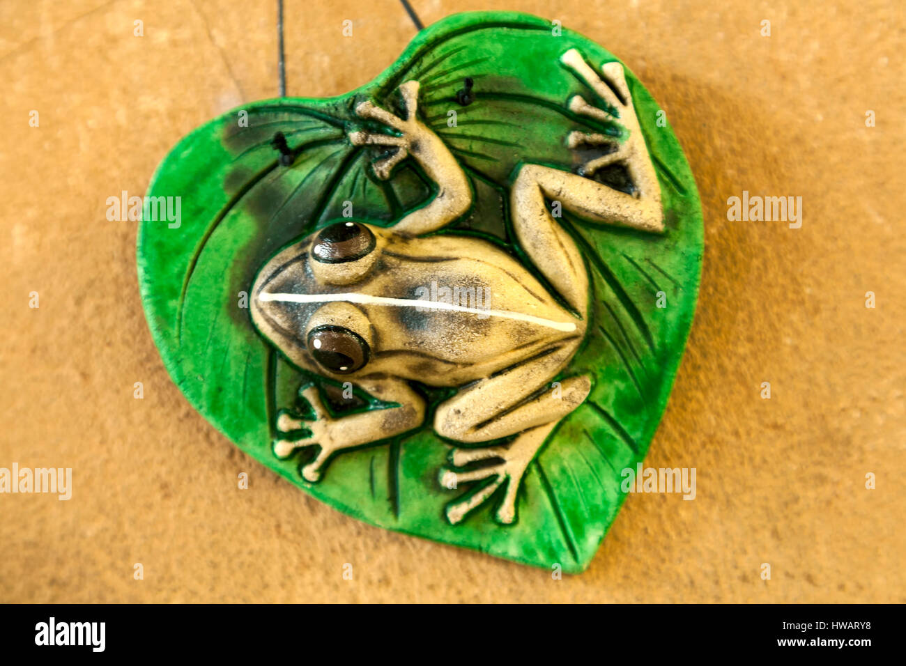 Animated Coqui Frog Puerto Rico