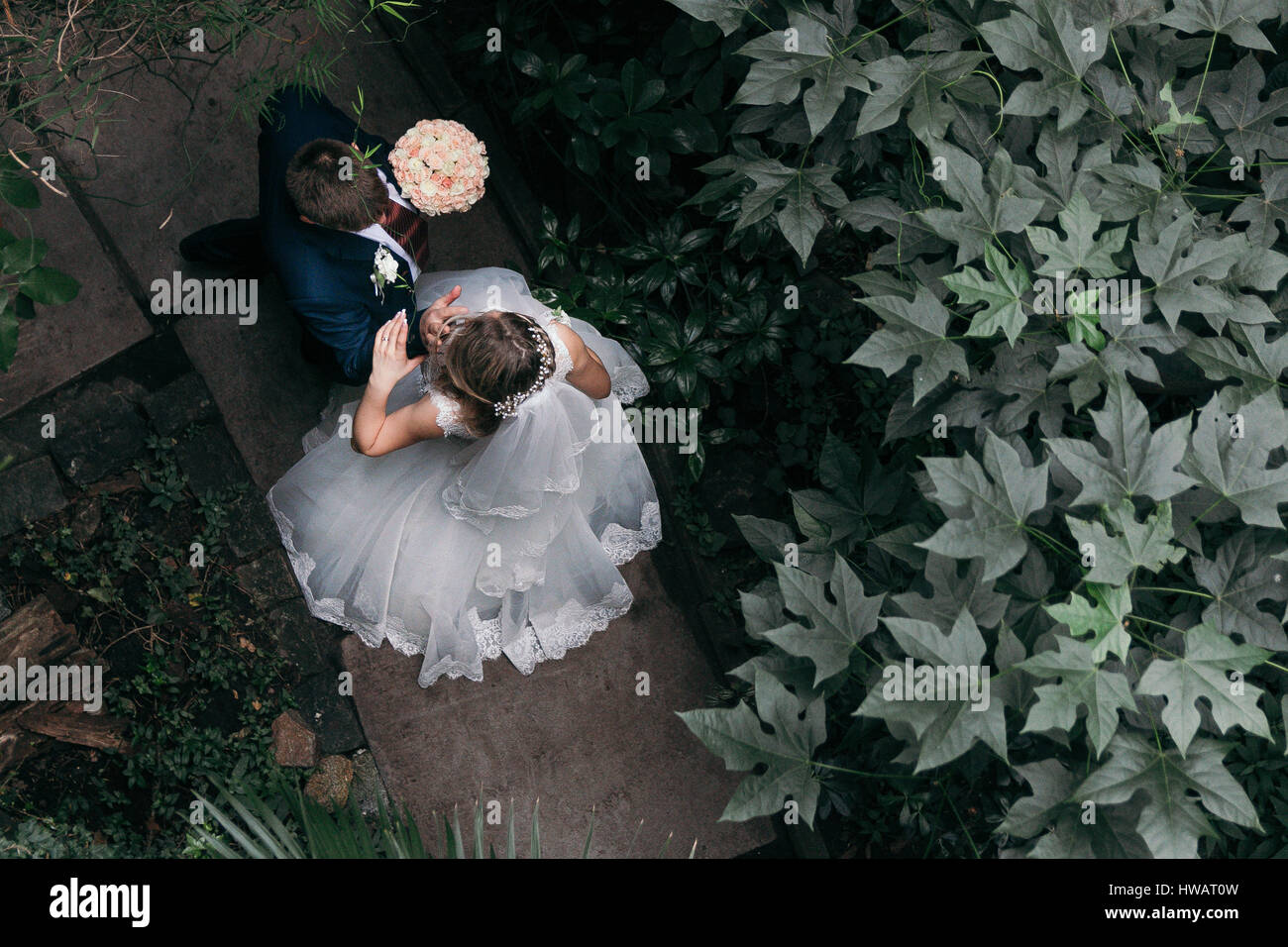 Couple on wedding day on the park. Top view. Marriage. Unrecognizable ...