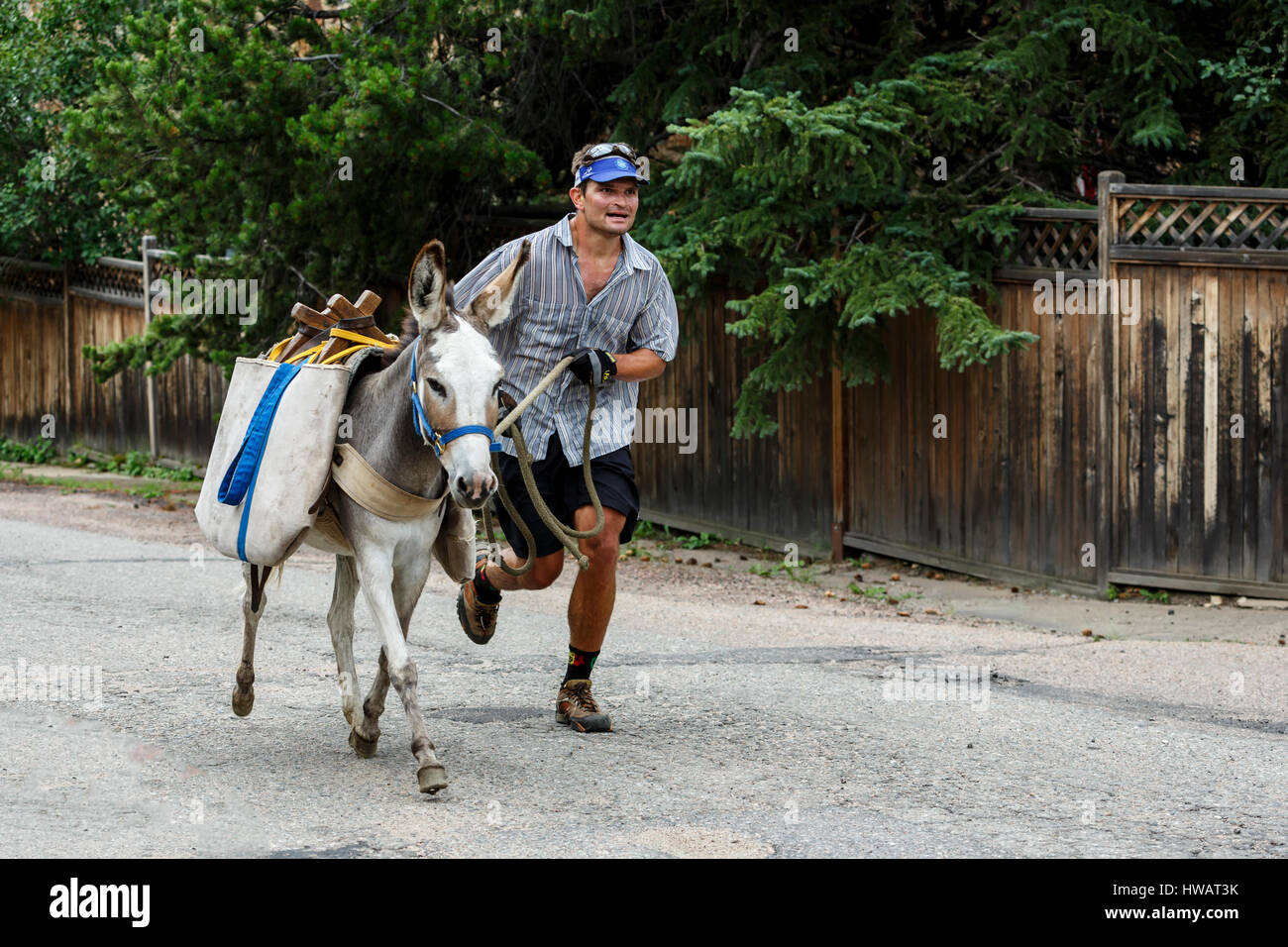 Donkeys mining hi-res stock photography and images - Alamy
