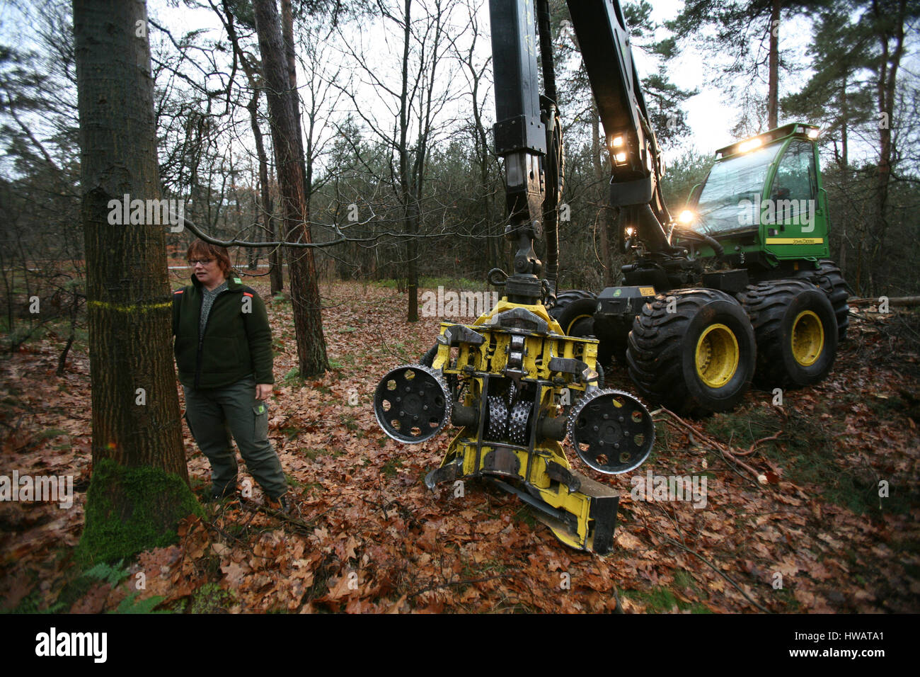 Forestkeeper hi-res stock photography and images - Alamy