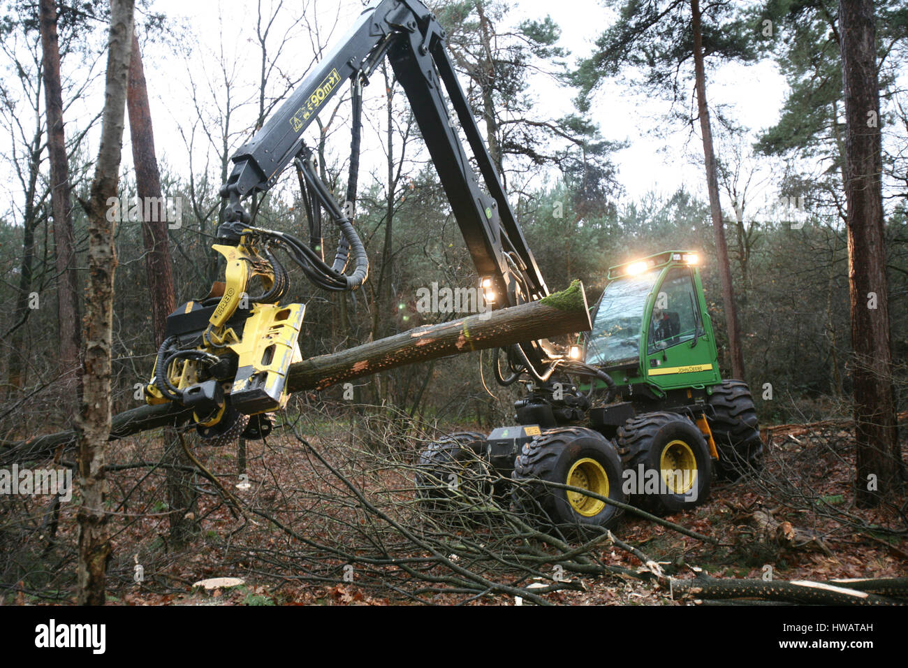forestkeeper at work Stock Photo - Alamy