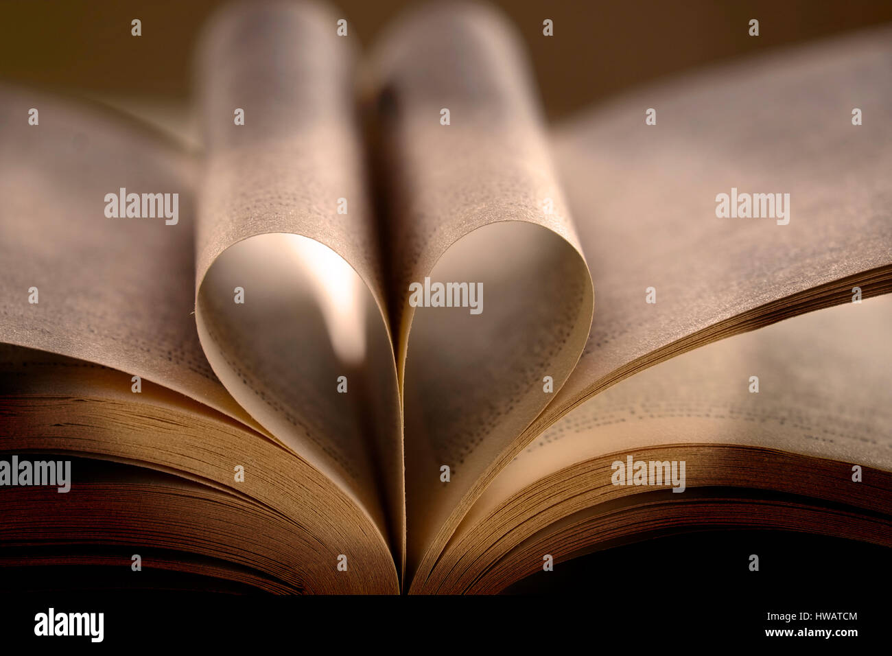 Heart Shape Made with Book Pages – Love of Reading Concept Stock Photo ...