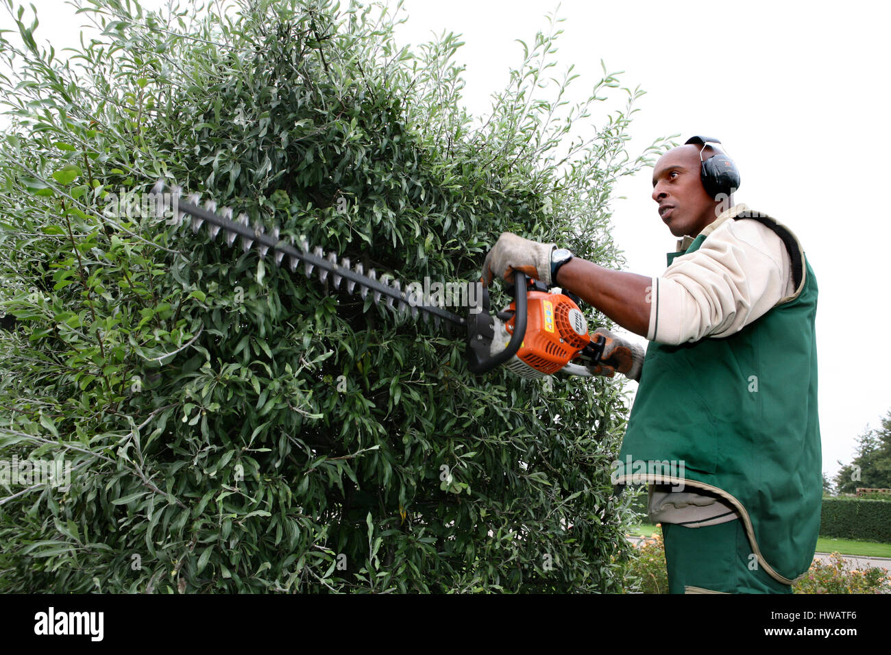 Gardener at work Stock Photo - Alamy