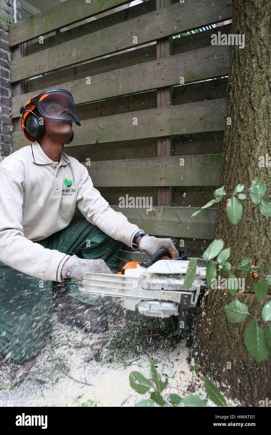 Gardener at work Stock Photo - Alamy