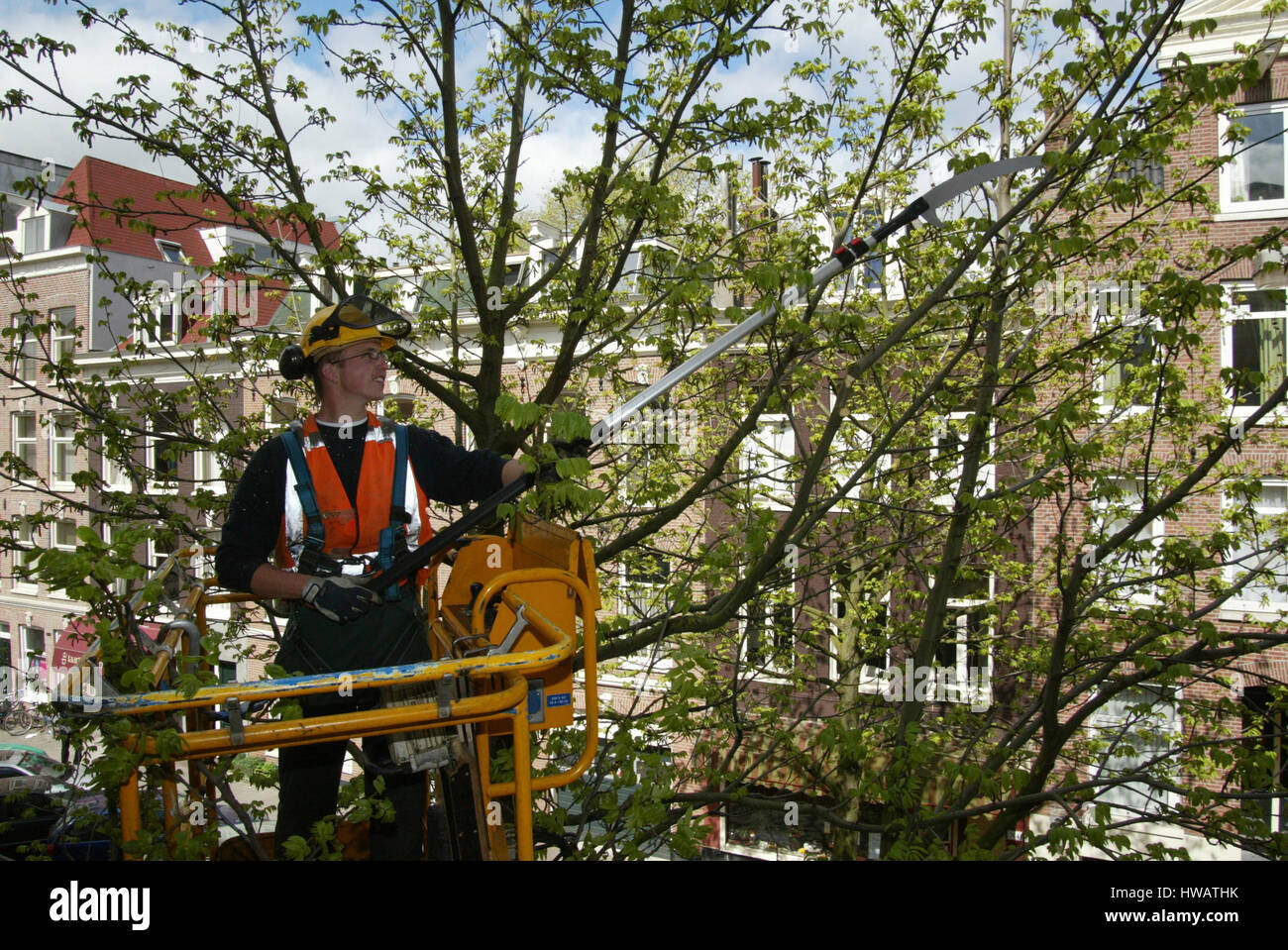 Gardener at work Stock Photo - Alamy
