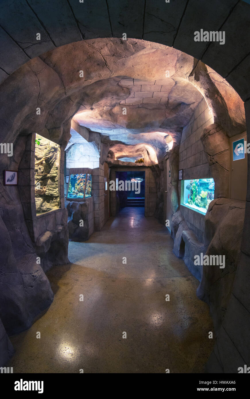 Aquarium gallery hi-res stock photography and images - Alamy