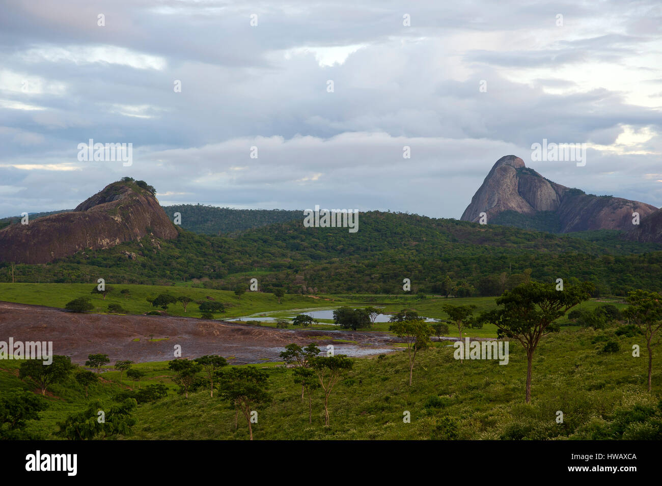 Bahia estate landscape, Brazil Stock Photo - Alamy