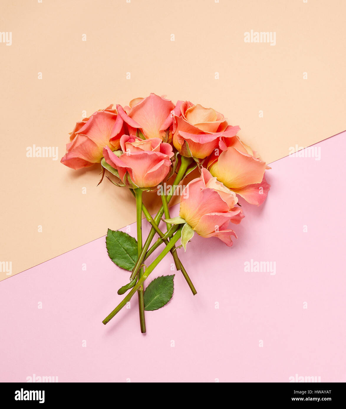 bouquet of pink roses, top view Stock Photo - Alamy