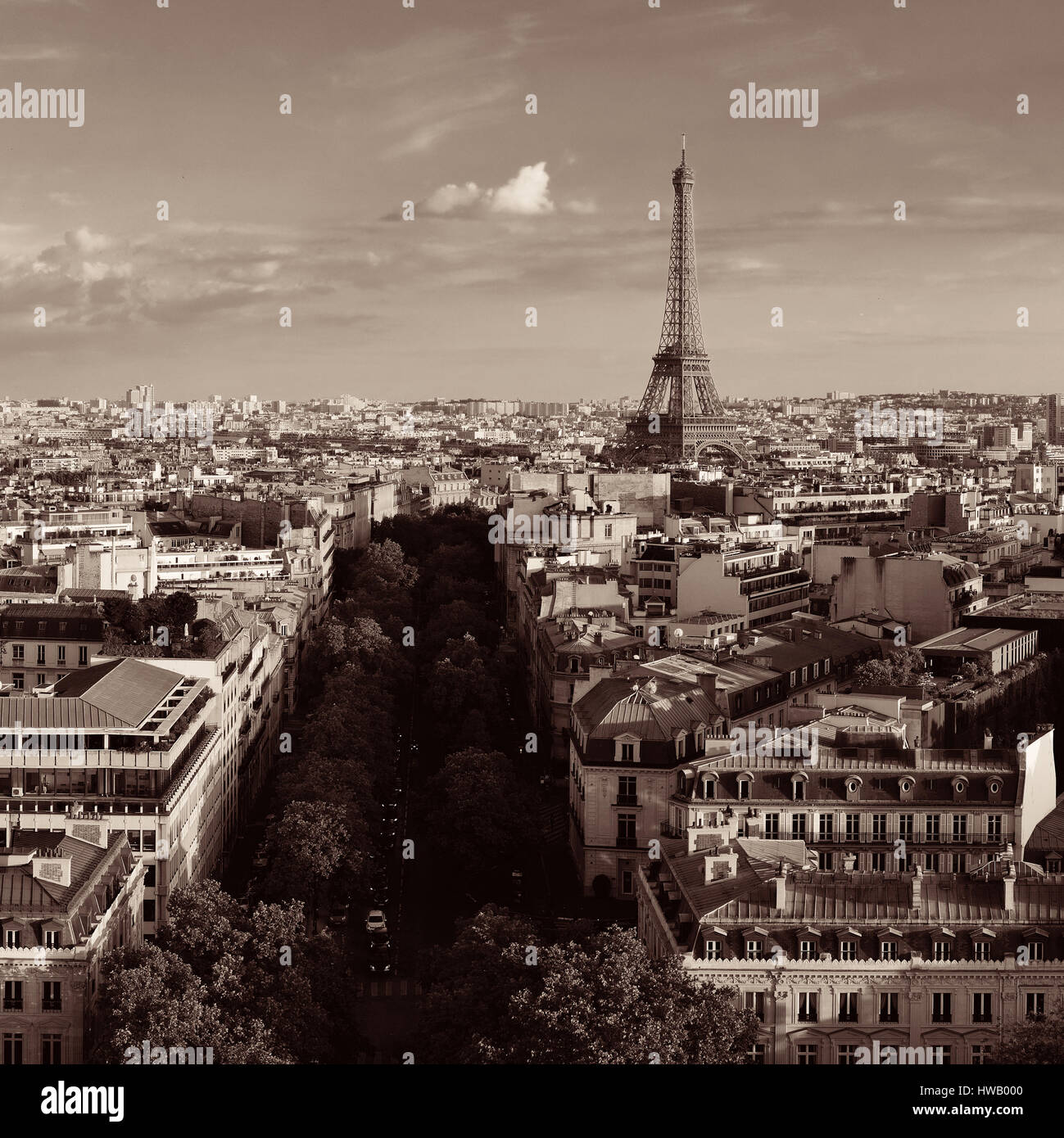 Paris rooftop view skyline and Eiffel Tower in France Stock Photo - Alamy