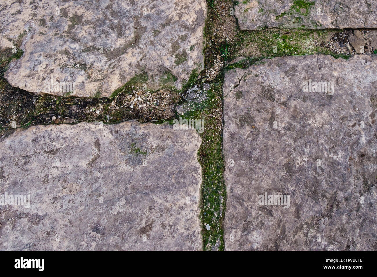 Rough cobblestone pavement moss texture hi-res stock photography and images - Alamy