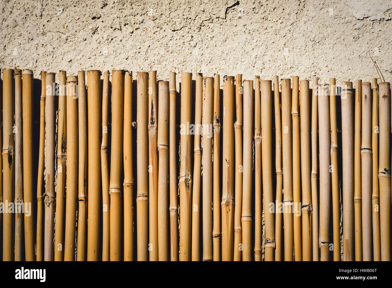 Backdrop reeds hi-res stock photography and images - Alamy