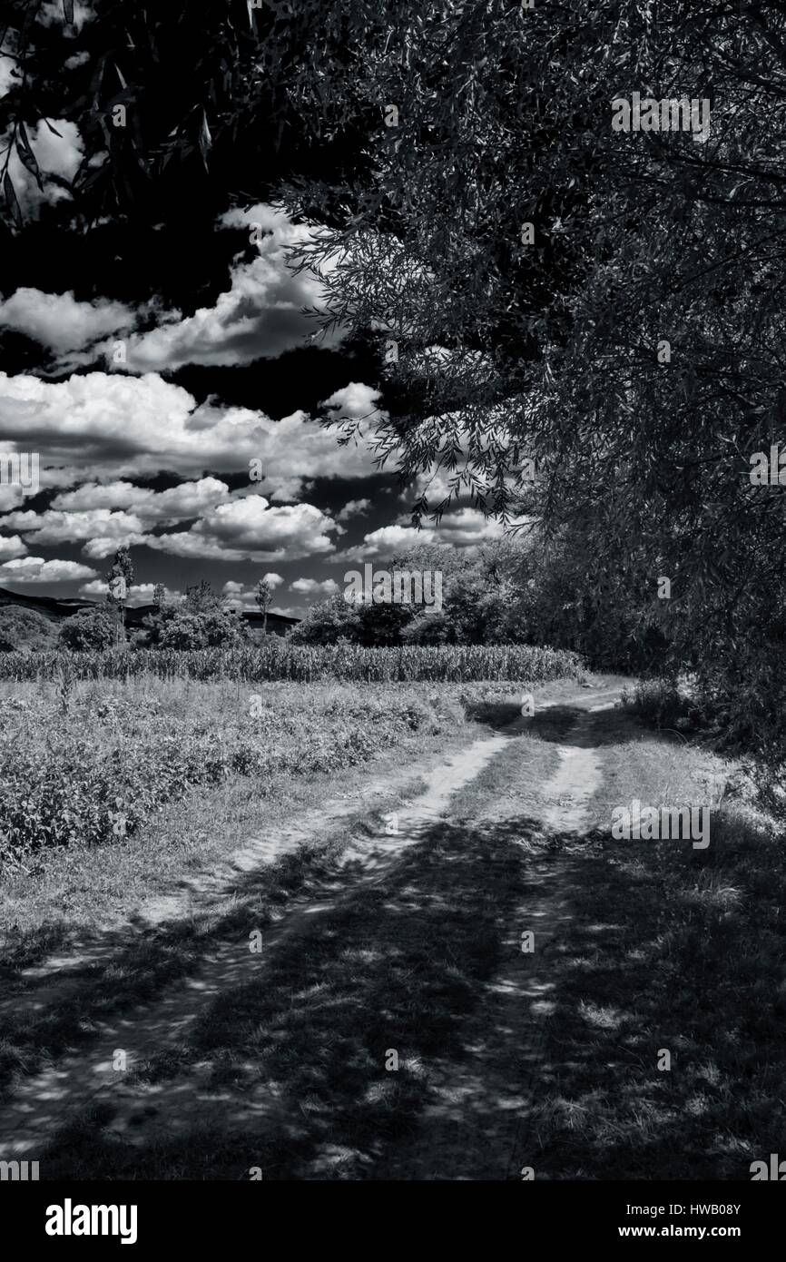 Country scenery hi-res stock photography and images - Alamy