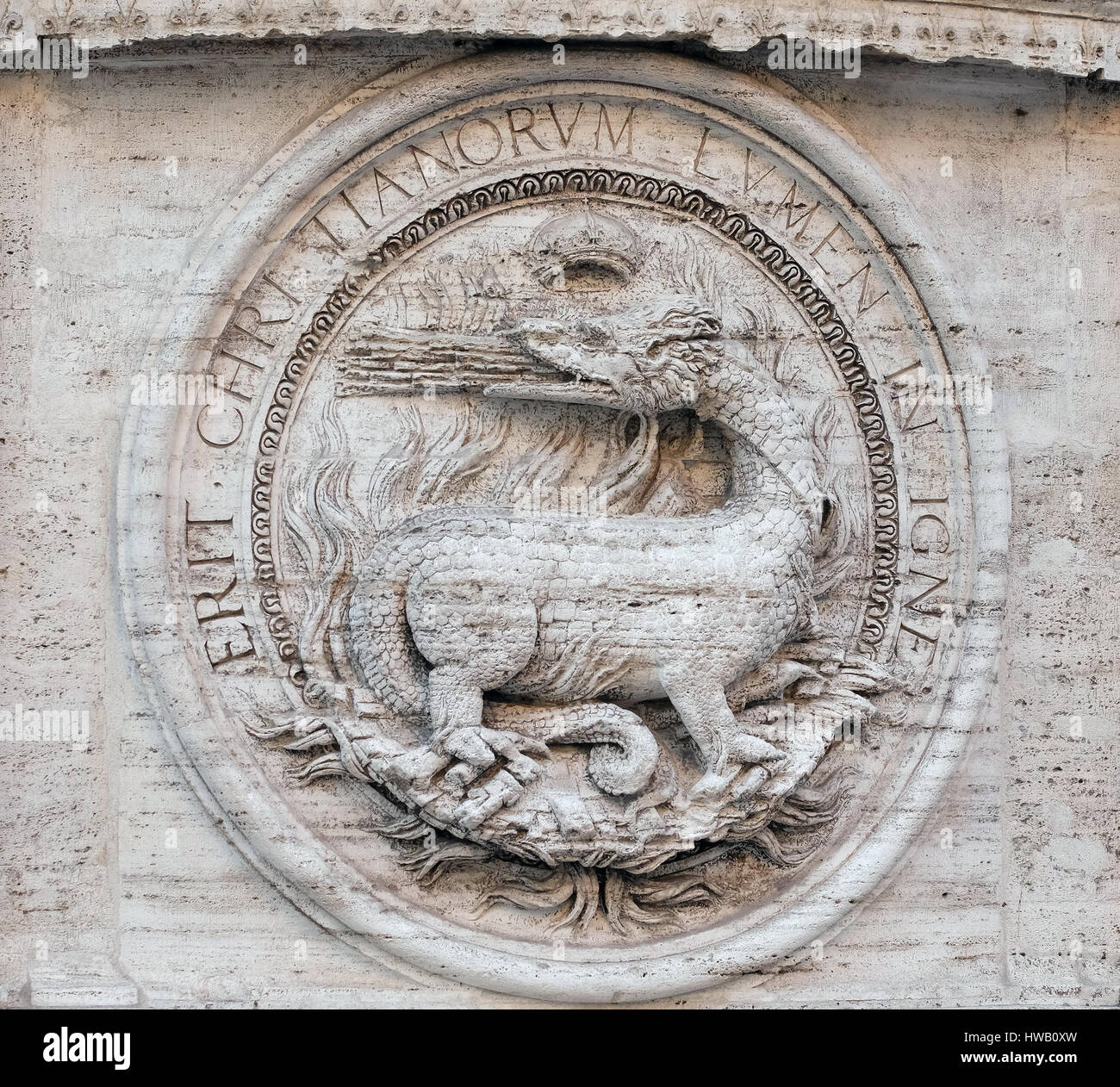 Salamanders hi-res stock photography and images - Alamy