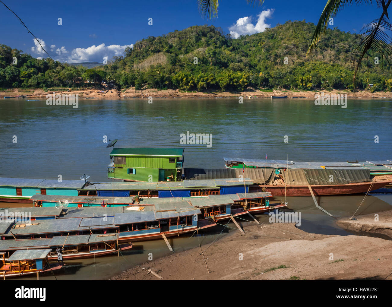 Laos mekong plant hi-res stock photography and images - Alamy