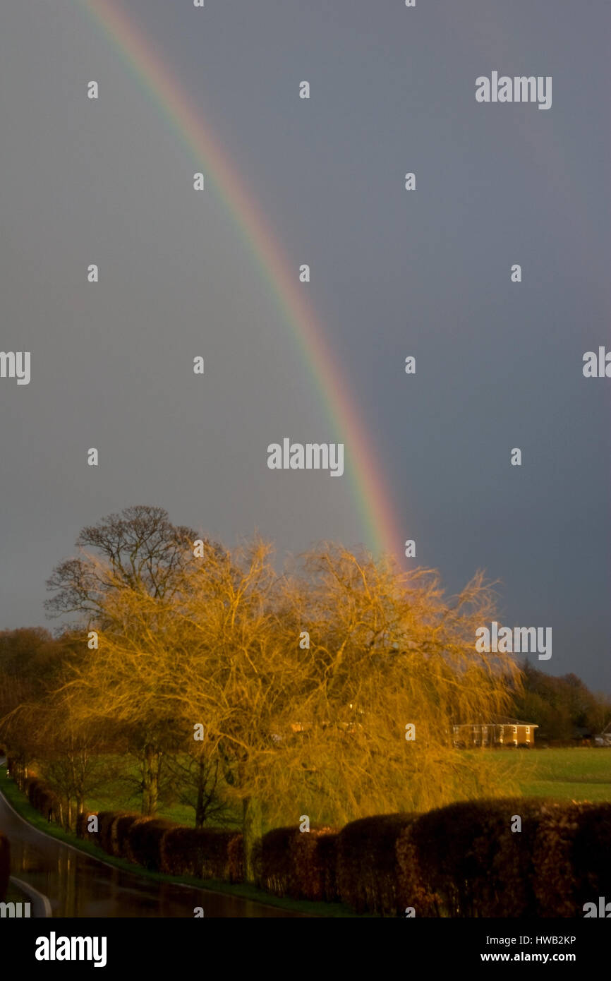 Rainbow over tree hi-res stock photography and images - Alamy