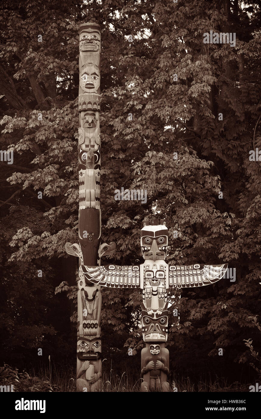 Indian poles hi-res stock photography and images - Alamy