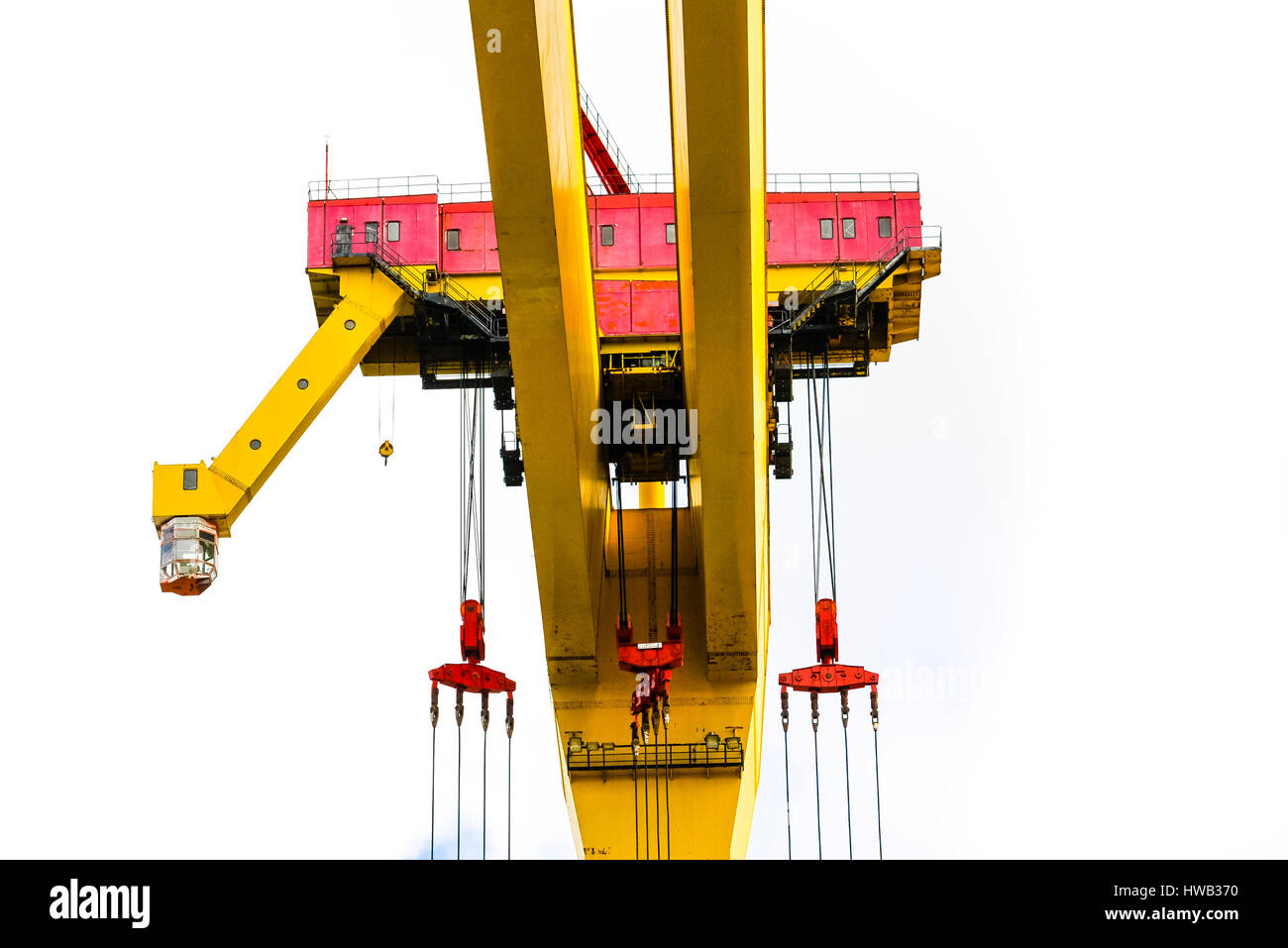 Samson, one of the two famous yellow cranes which dominate the skyline ...