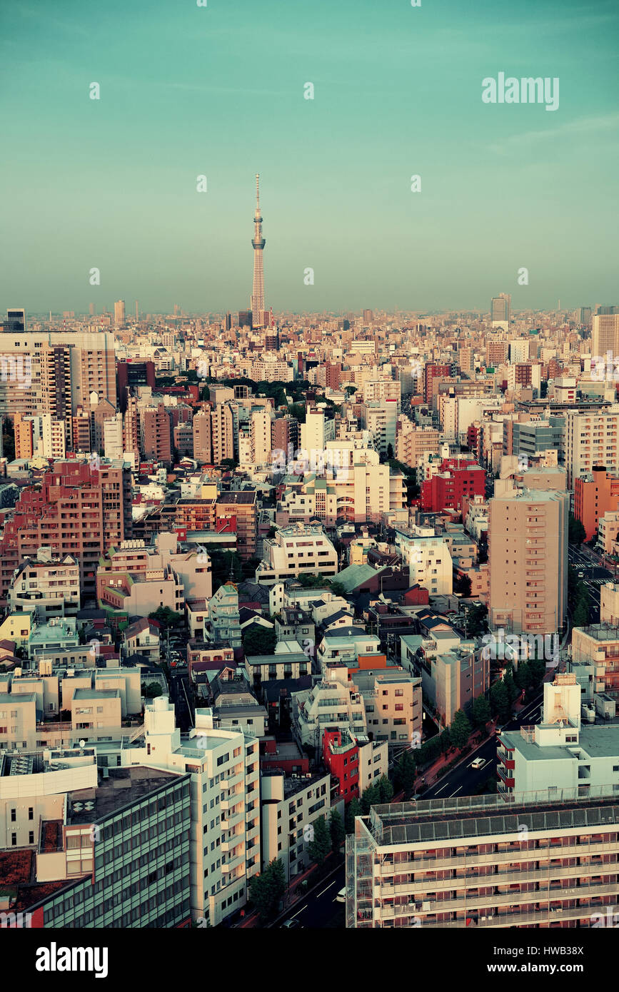 Tokyo urban skyline rooftop view with Skytree, Japan Stock Photo - Alamy