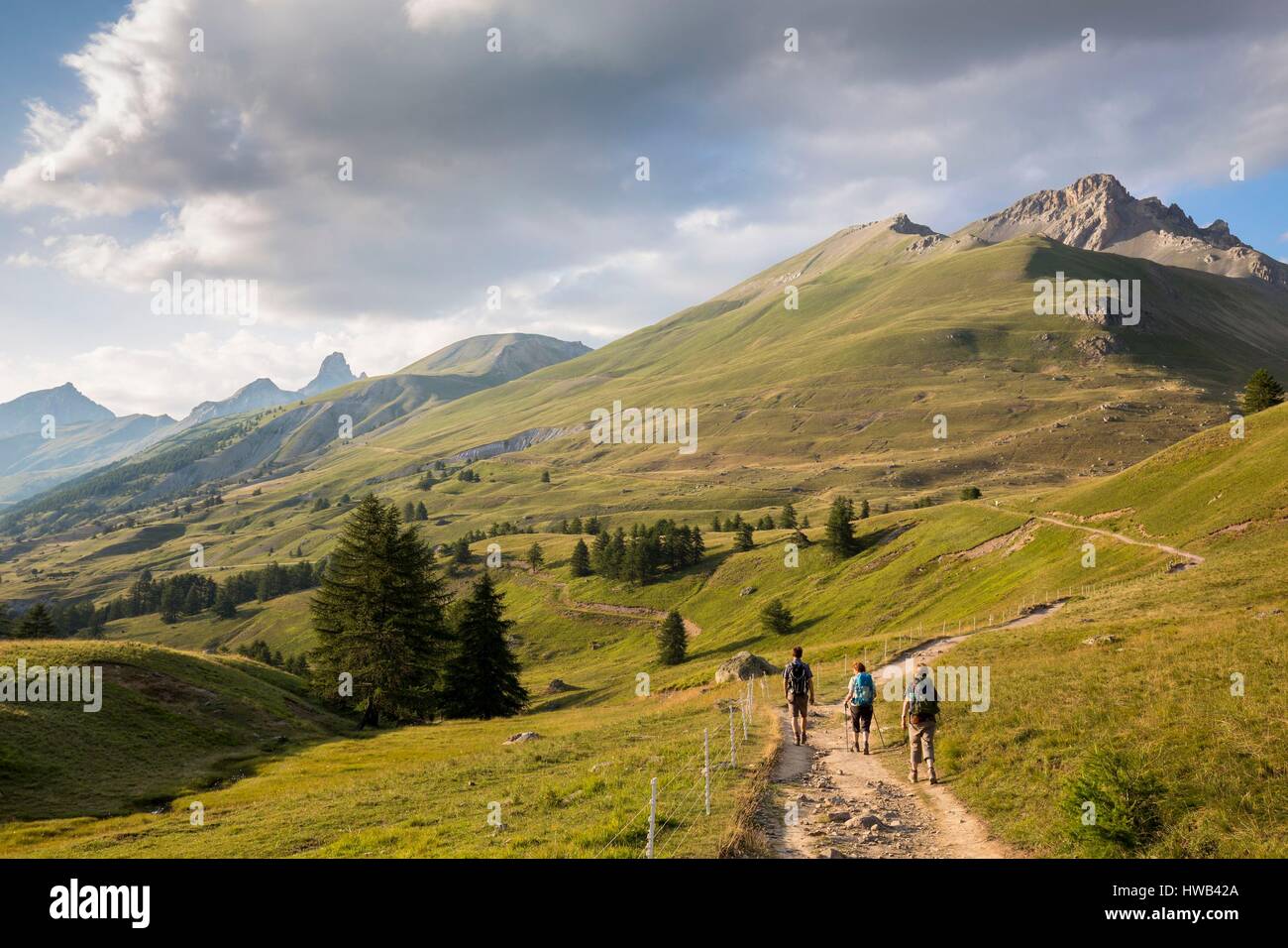 France, Alpes de Haute Provence, national park of Mercantour, Haute ...