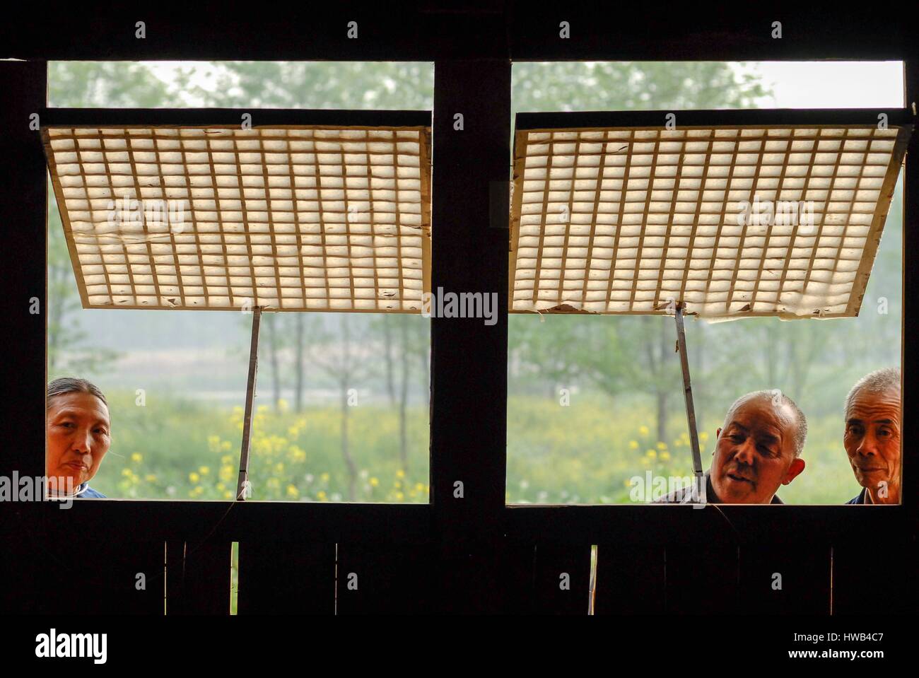 Pingle hi-res stock photography and images - Alamy