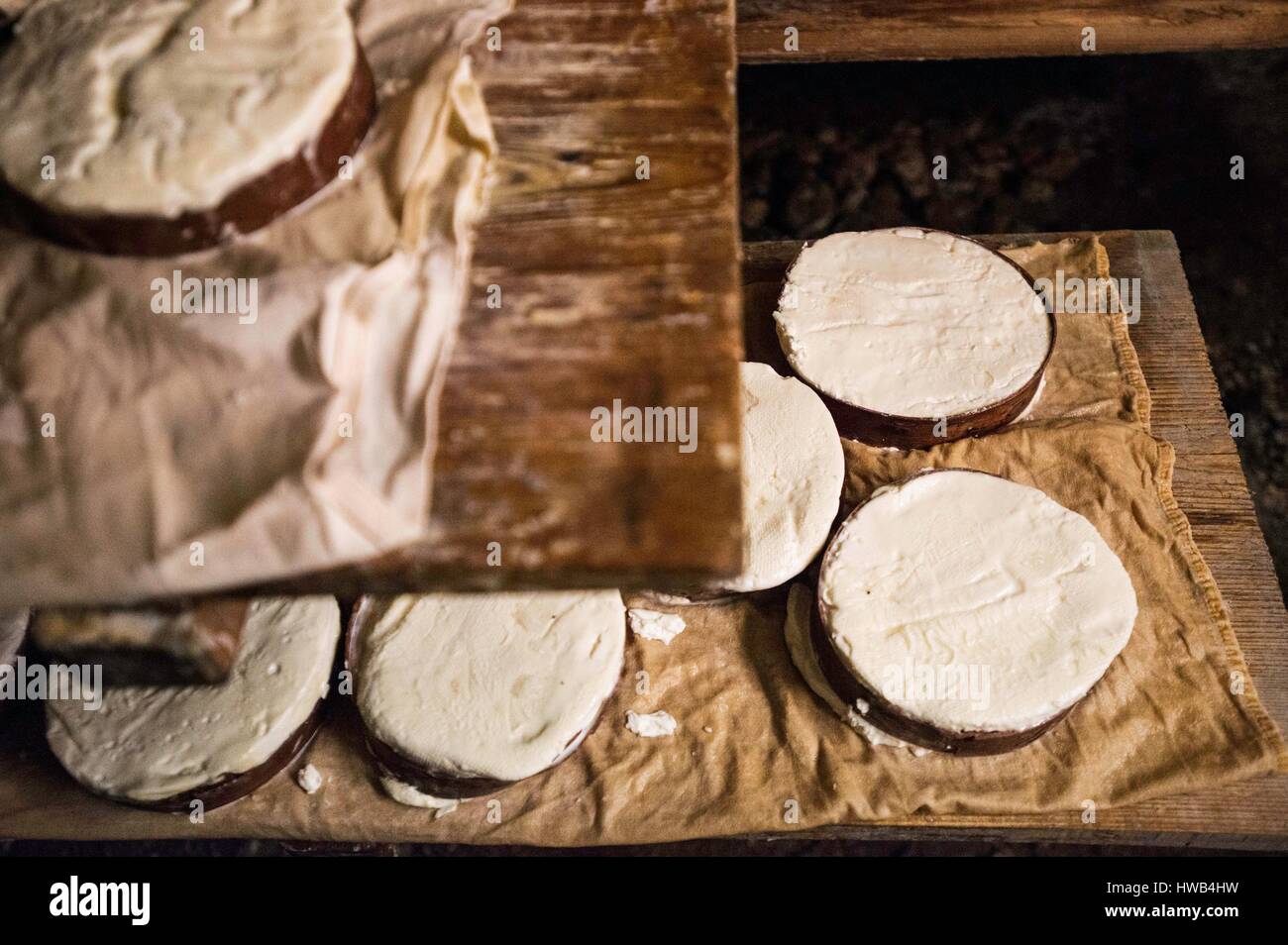 France, Haute Savoie, Abondance valley, Abondance, manufacturing of the ...