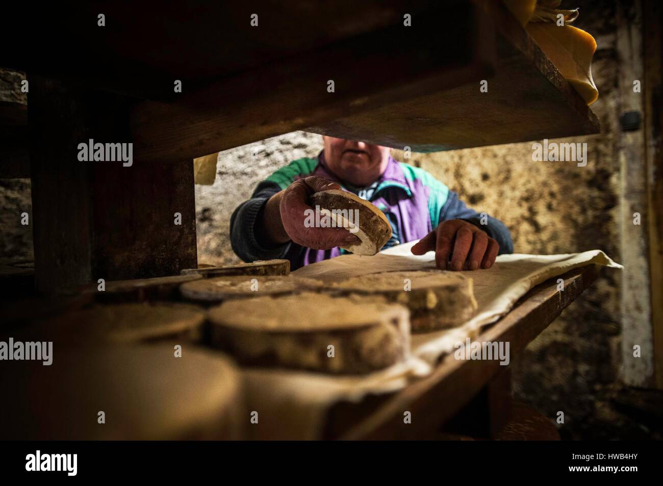 France, Haute Savoie, Abondance valley, Abondance, manufacturing of the ...