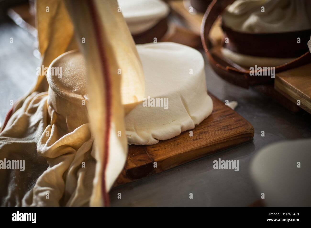 France, Haute Savoie, Abondance valley, Abondance, manufacturing of the ...