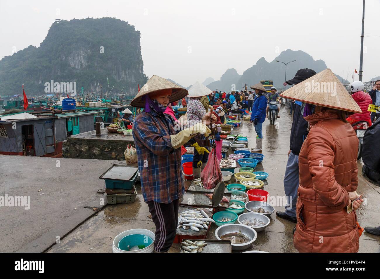 Vietnam, Quang Ninh Province, Cai Rong, fish market Stock Photo - Alamy