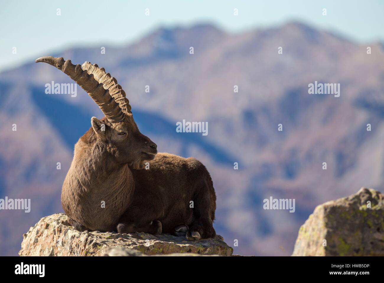France, Alpes de Haute-Provence, national park of Mercantour, Haut ...