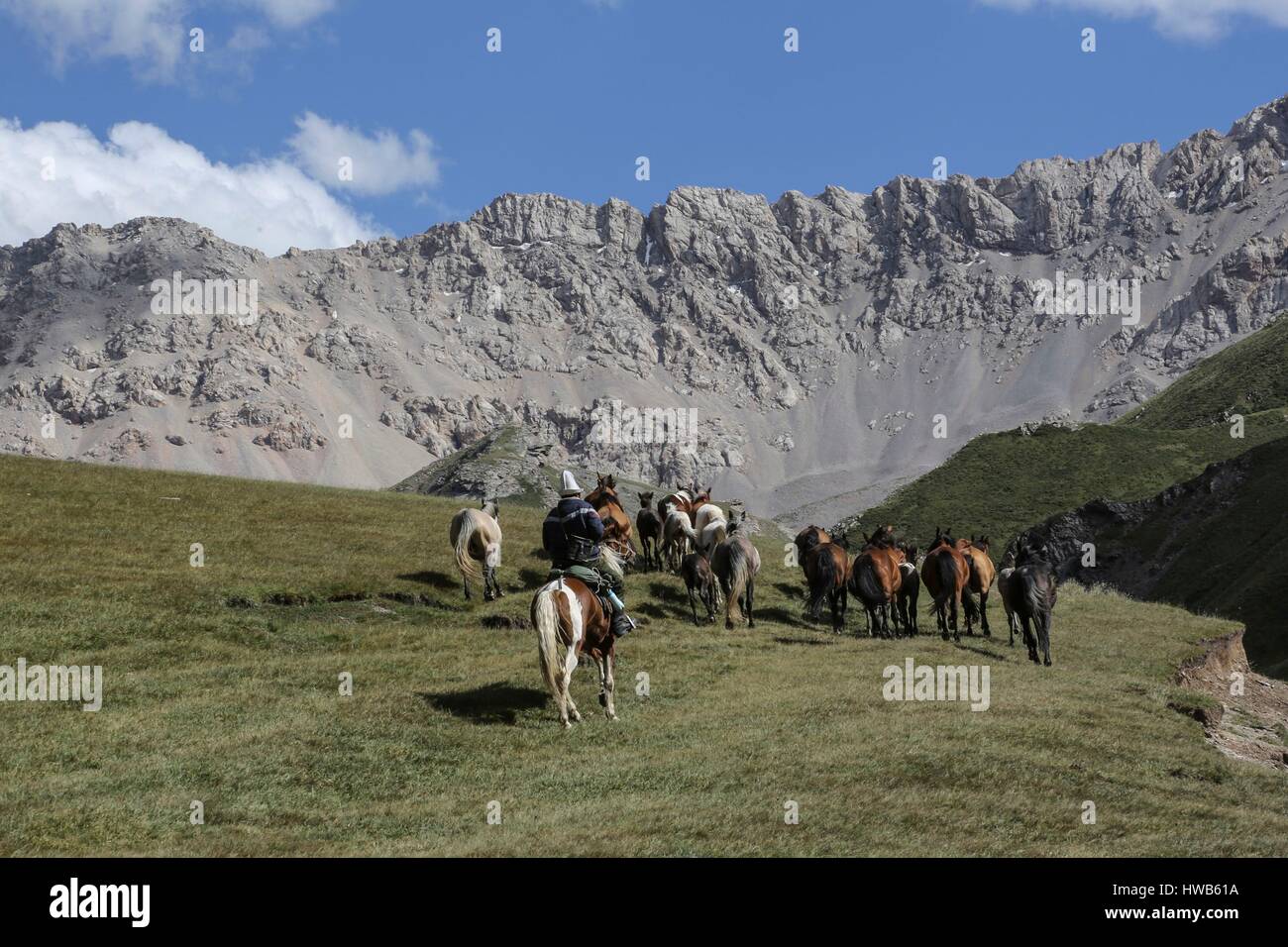 Kyrgyzstan, Naryn Province, tourist trip and mountain trek, herd of ...