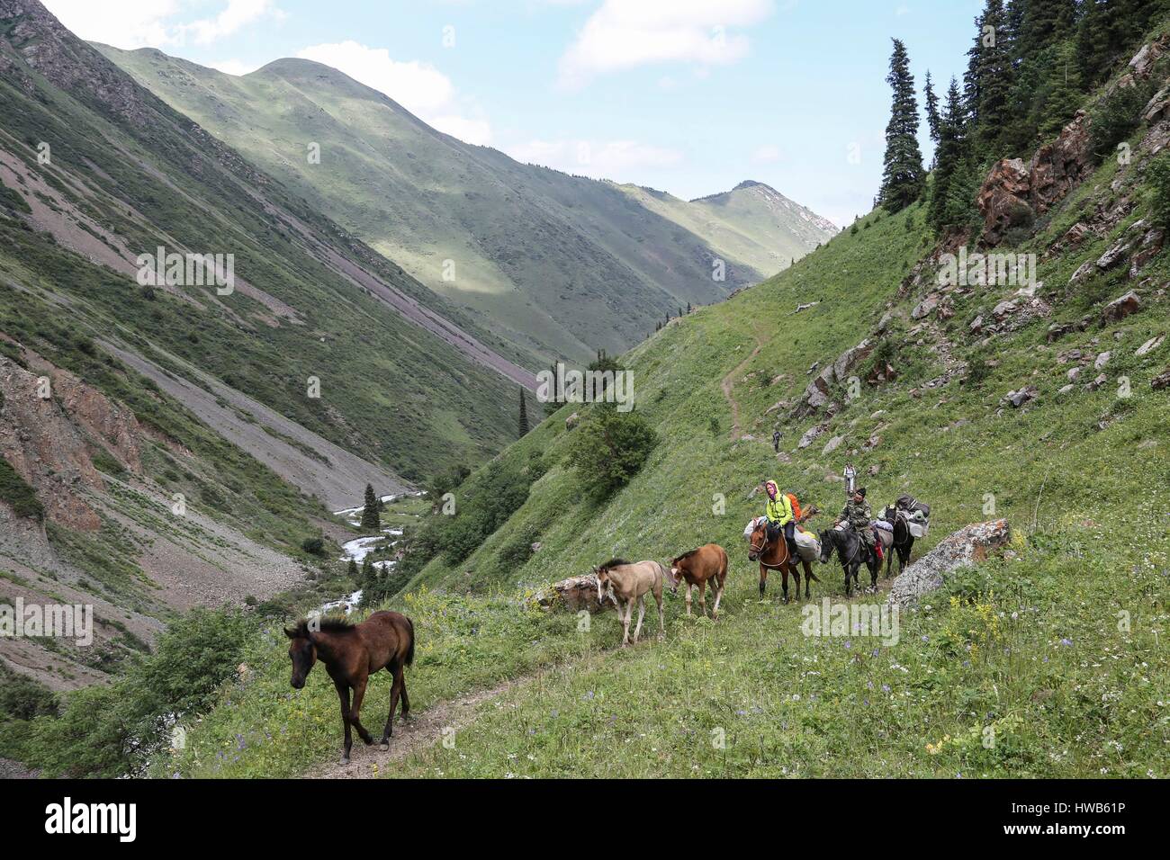Kyrgyzstan, Naryn Province, sightseeing tour and mountain trek Stock ...