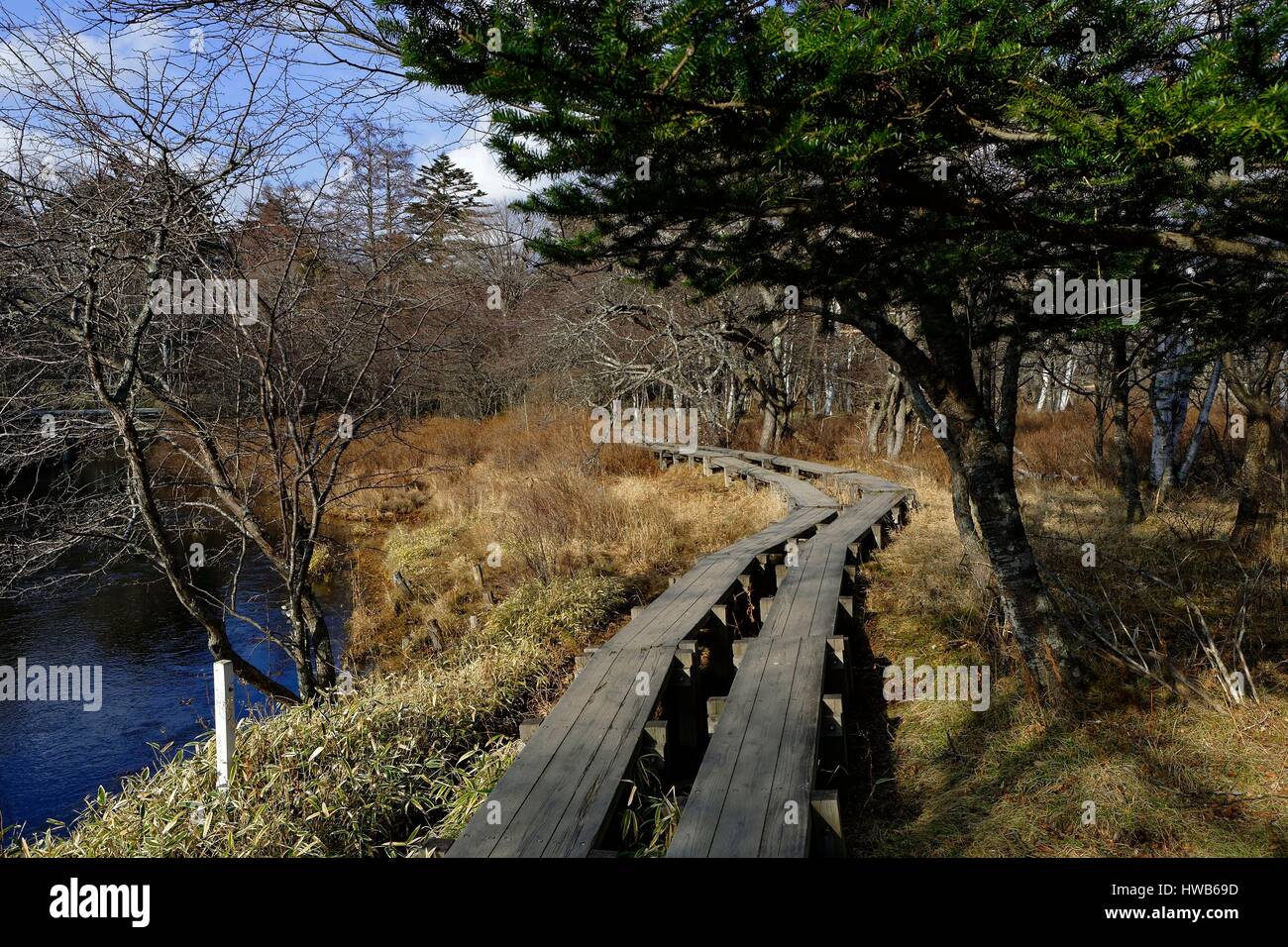 Japan, Honshu island, Kanto district, Nikko national park Stock Photo ...