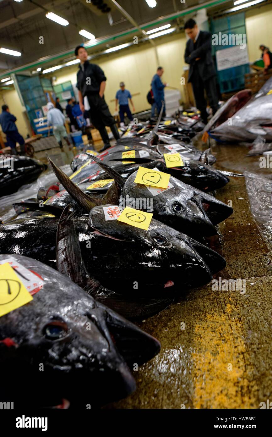 Japan, Honshu island, Tokyo district, Tokyo, Tsukiji fishs market ...