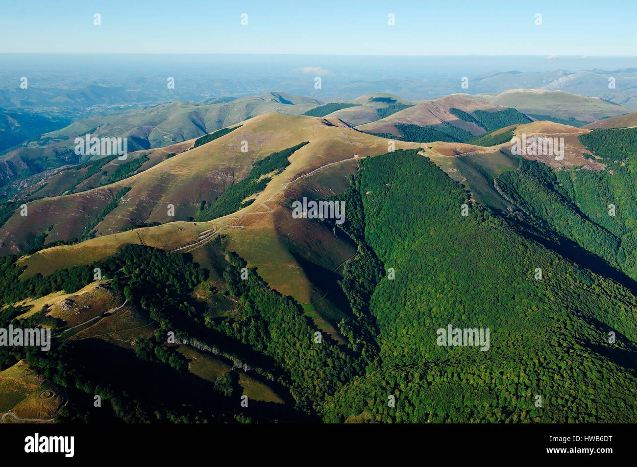 Solo Para Adultos En Estados Unidos - Home