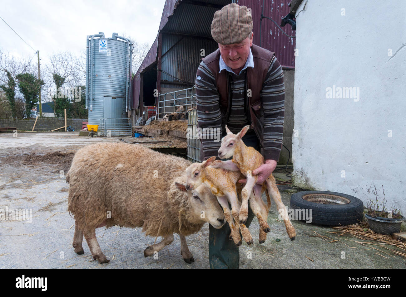 Joe wayman hi-res stock photography and images - Alamy