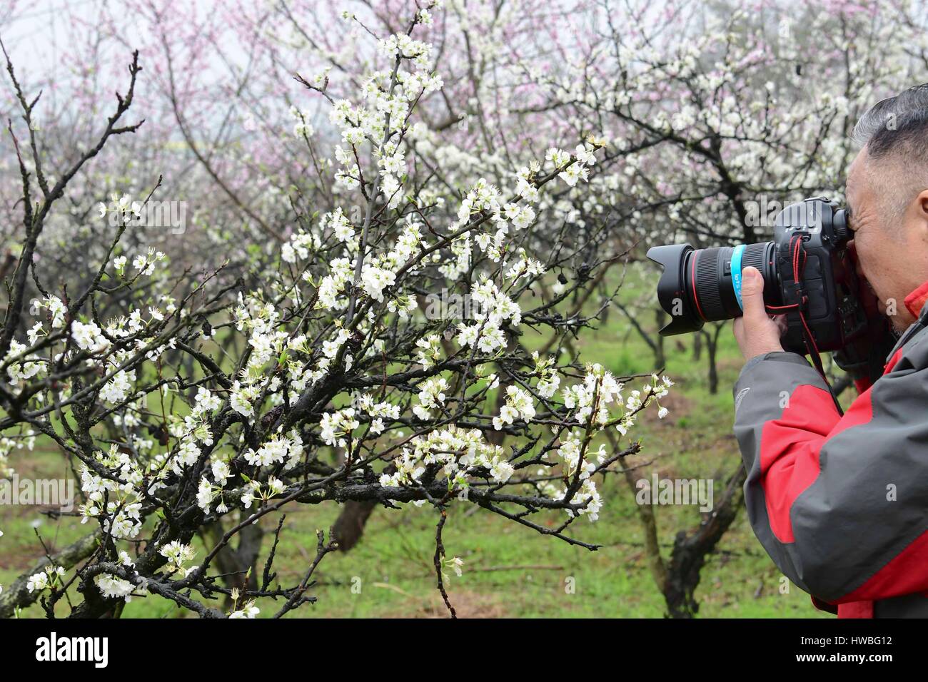 Xiaochang, China's Hubei Province. 18th Mar, 2017. A tourist take ...