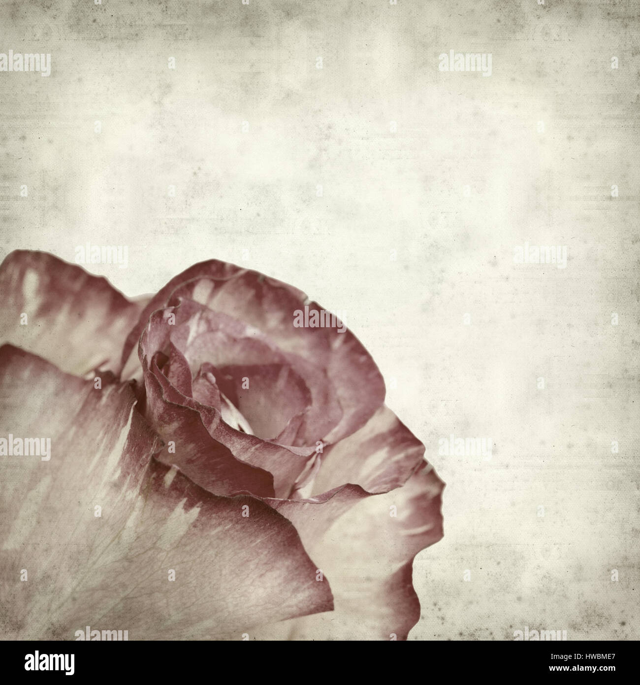 textured old paper background with unusual mottled rose Stock Photo - Alamy